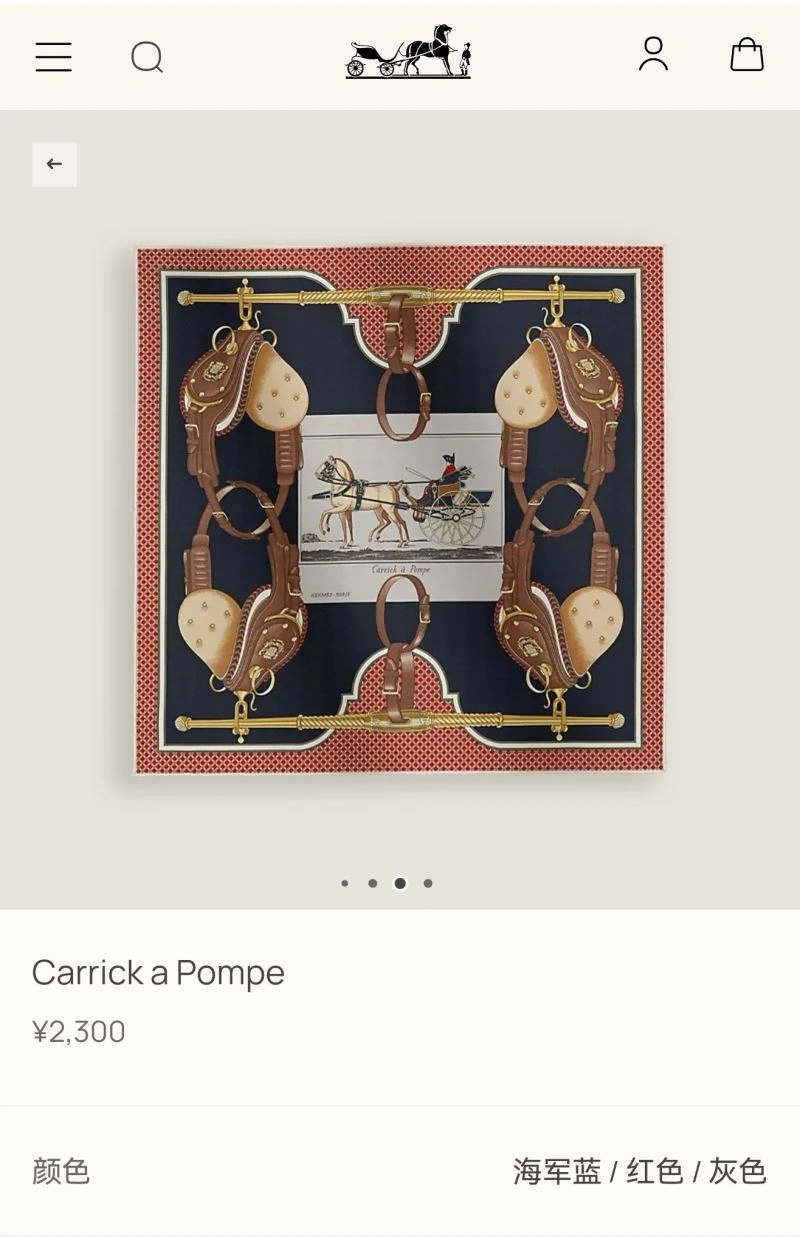 Hermes Scarf