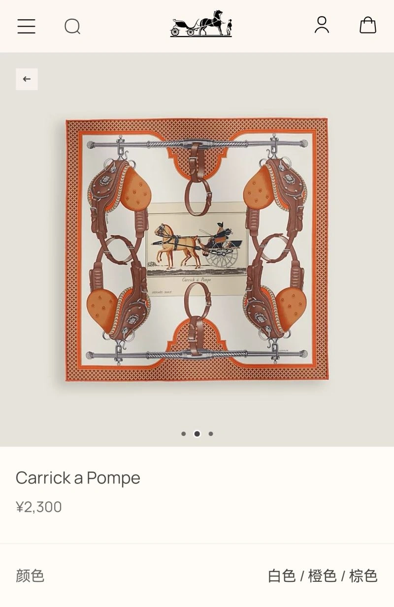 Hermes Scarf
