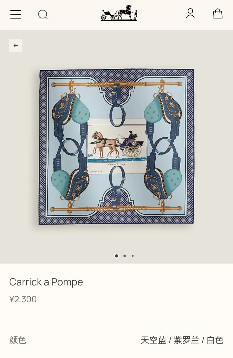 Hermes Scarf