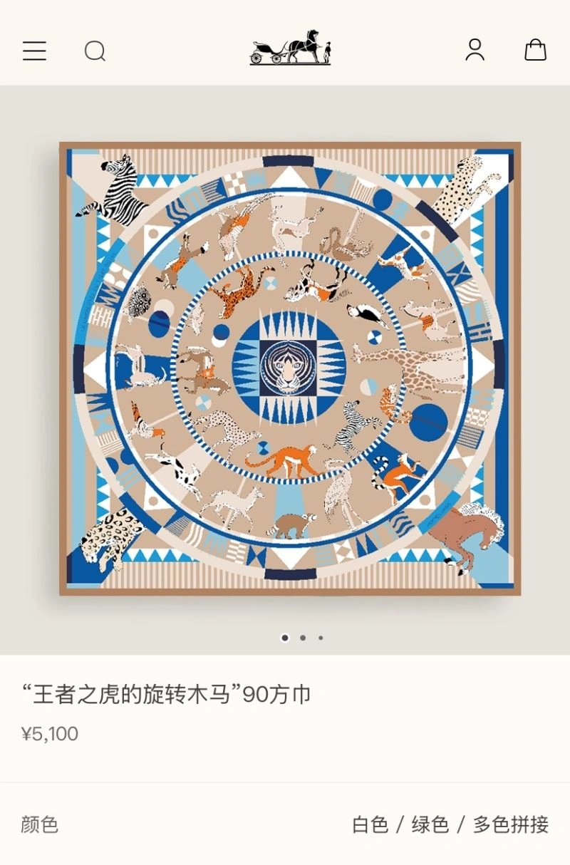 Hermes Scarf