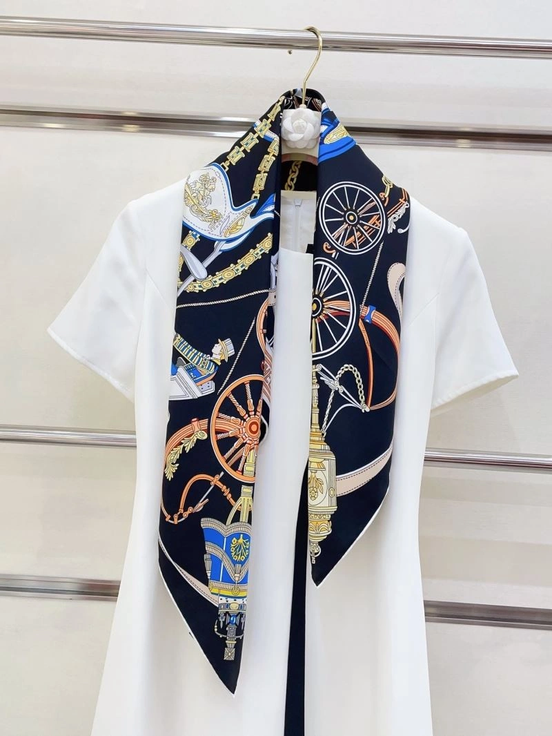 Top match Hermes Scarf