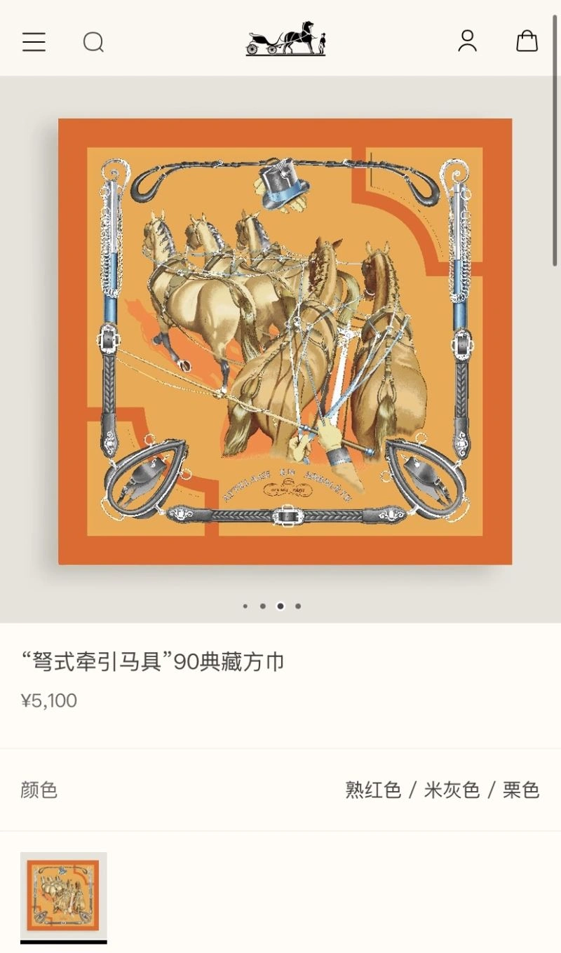 Hermes Scarf