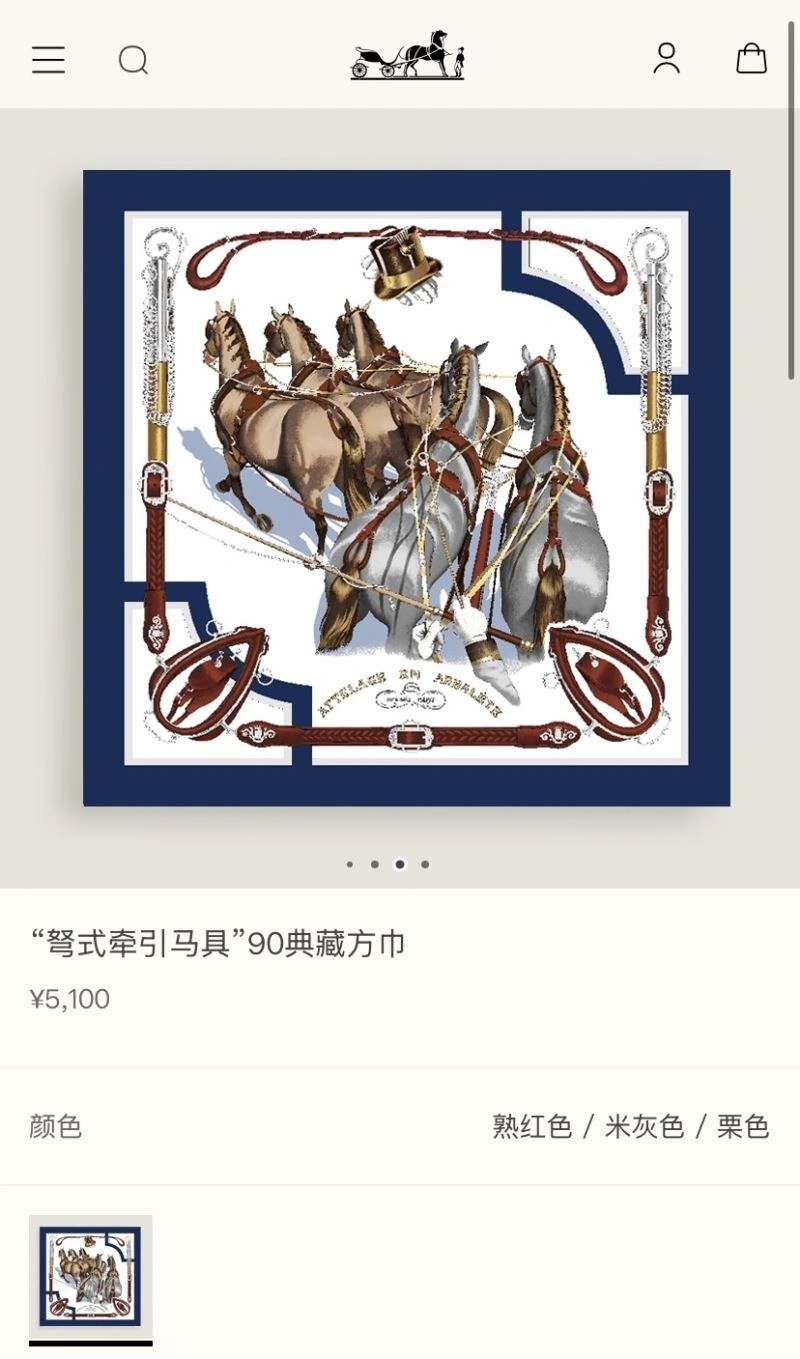 Hermes Scarf
