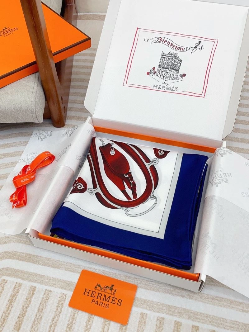 High fidelity Hermes Scarf