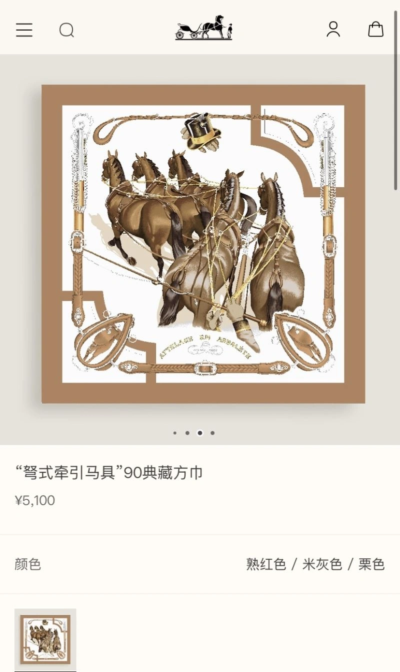 Hermes Scarf
