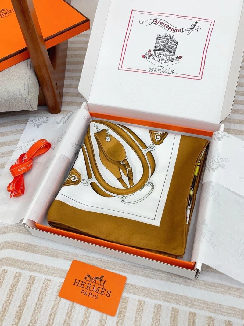 Top match Hermes Scarf