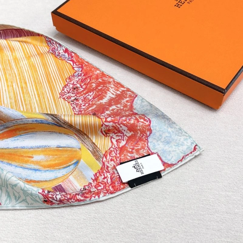 Top match Hermes Scarf
