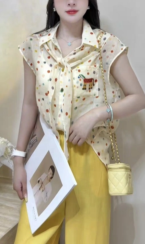 Reasonably priced Hermes Shirts