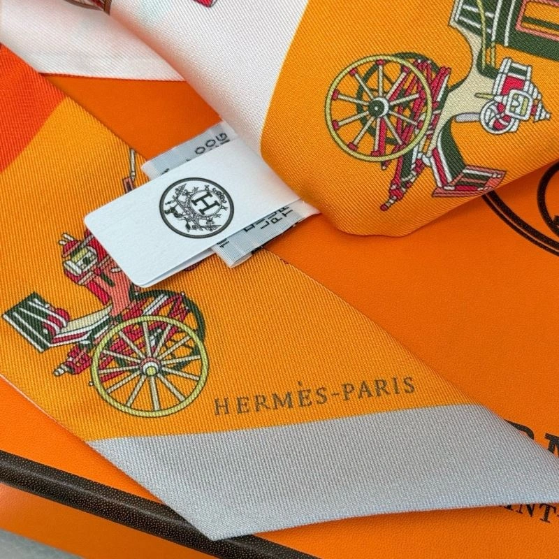 Indistinguishable Hermes Silk
