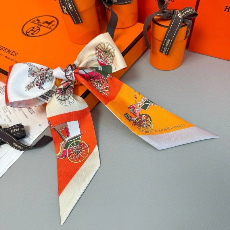 Indistinguishable Hermes Silk