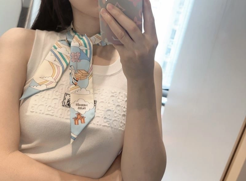 Hermes Silk