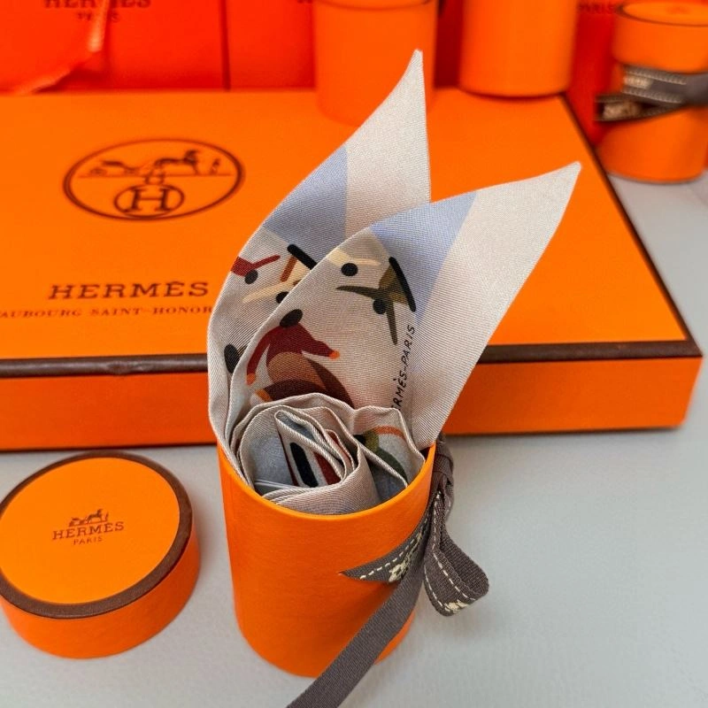 Hermes Silk