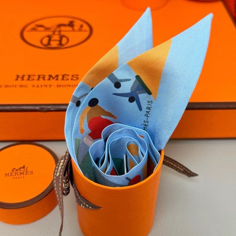 Economical Hermes Silk