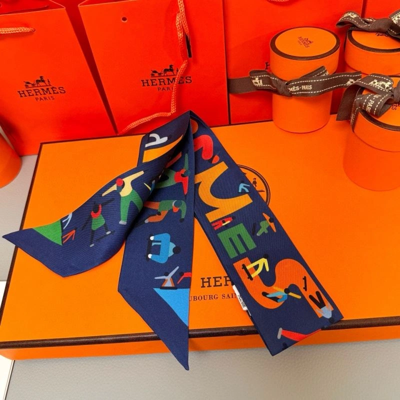 Budget-friendly Hermes Silk