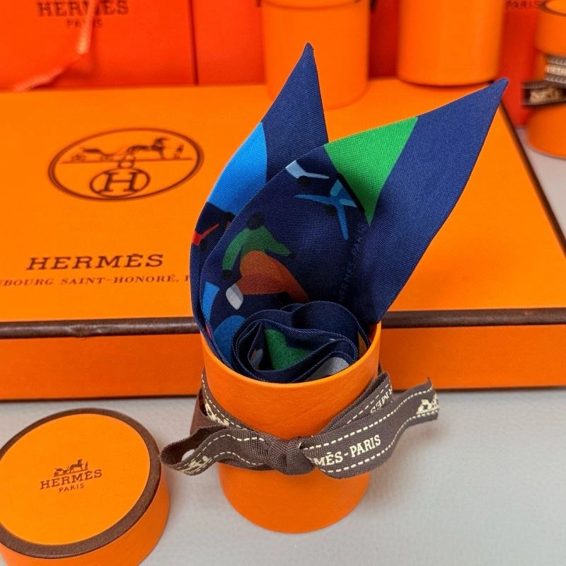 Budget-friendly Hermes Silk