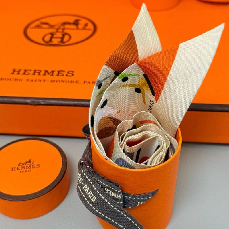 Discounted Hermes Silk