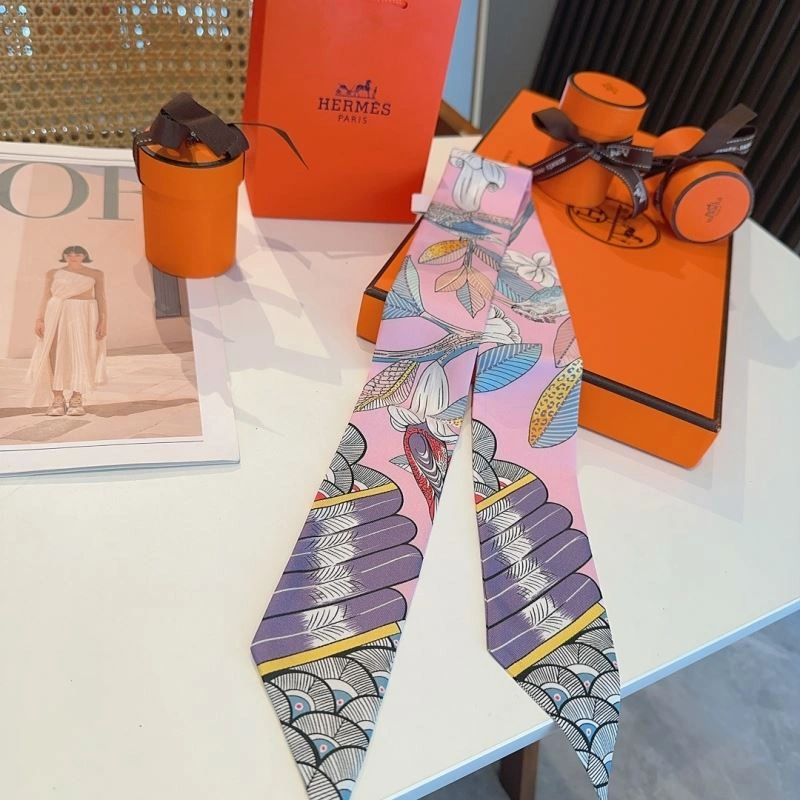 Cut-rate Hermes Silk