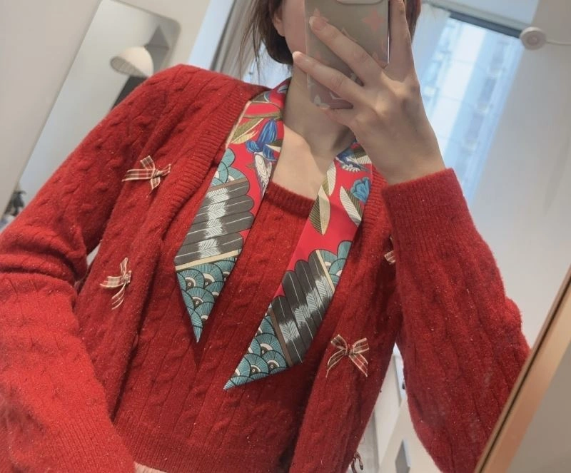 Hermes Silk