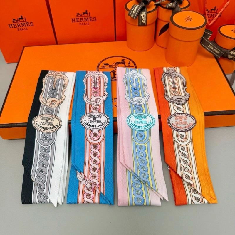 Economical Hermes Silk