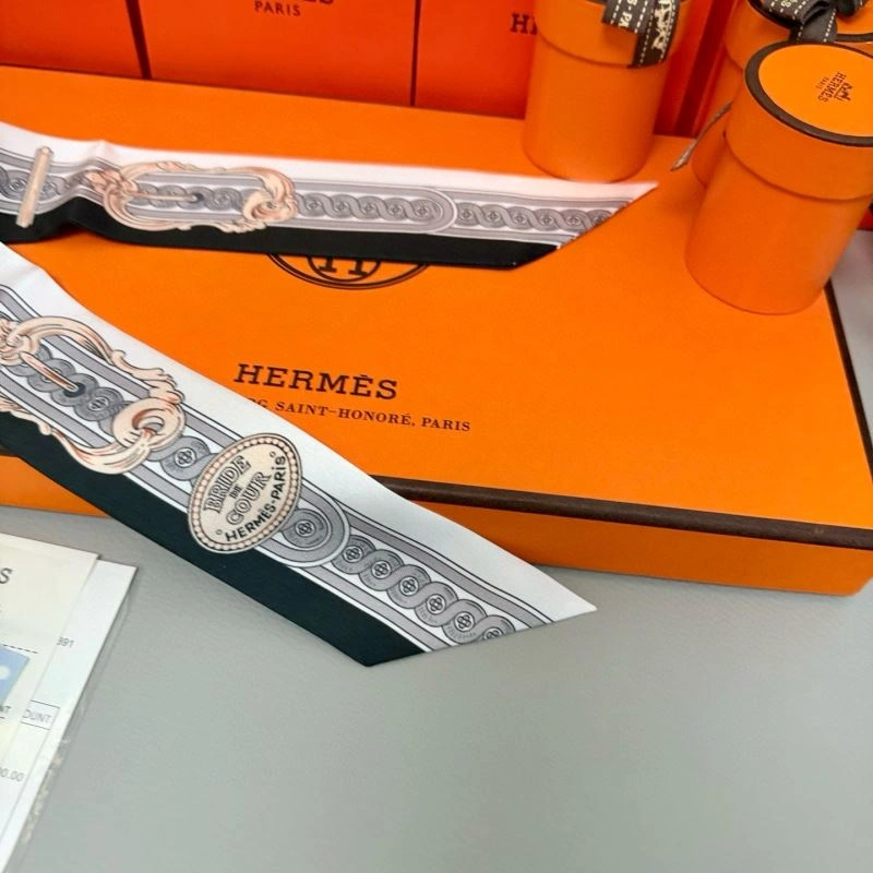 Economical Hermes Silk