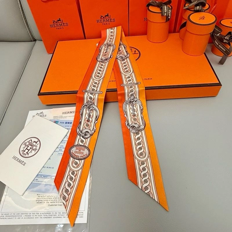 Discounted Hermes Silk