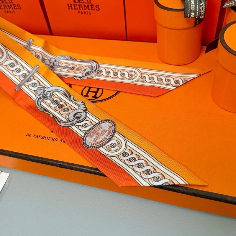 Discounted Hermes Silk