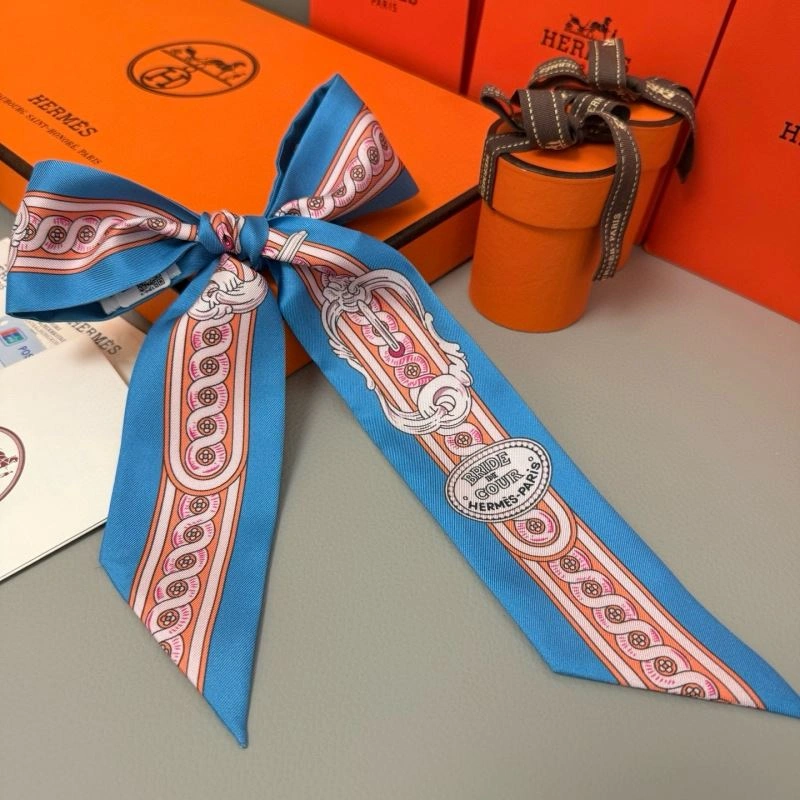 Economical Hermes Silk