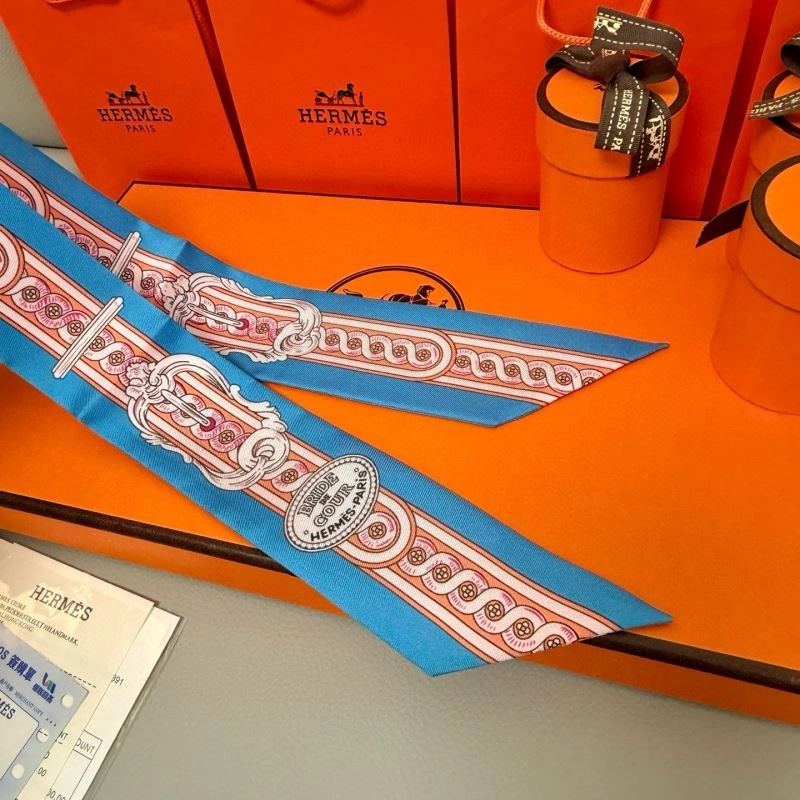 Economical Hermes Silk