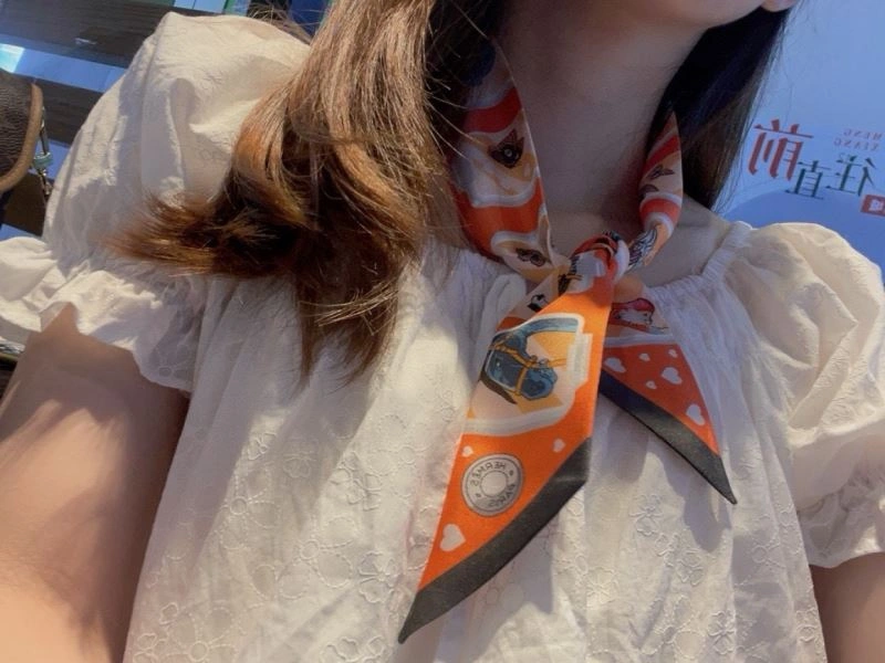 Original Hermes Silk