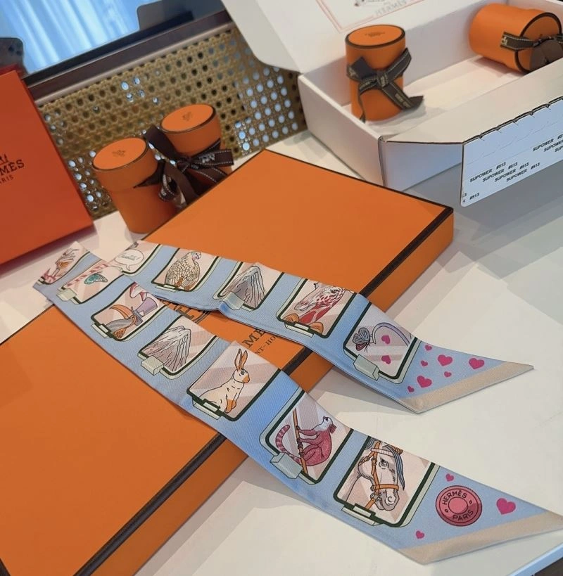 Economical Hermes Silk