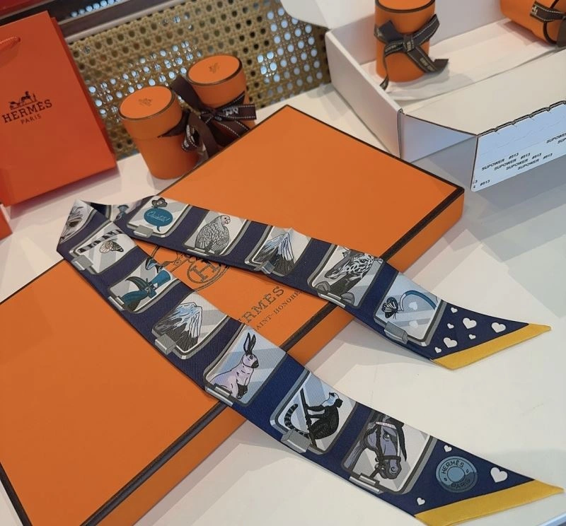 Affordable Hermes Silk