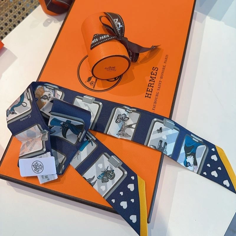 Affordable Hermes Silk