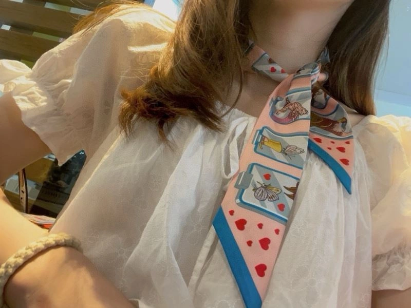 Hermes Silk
