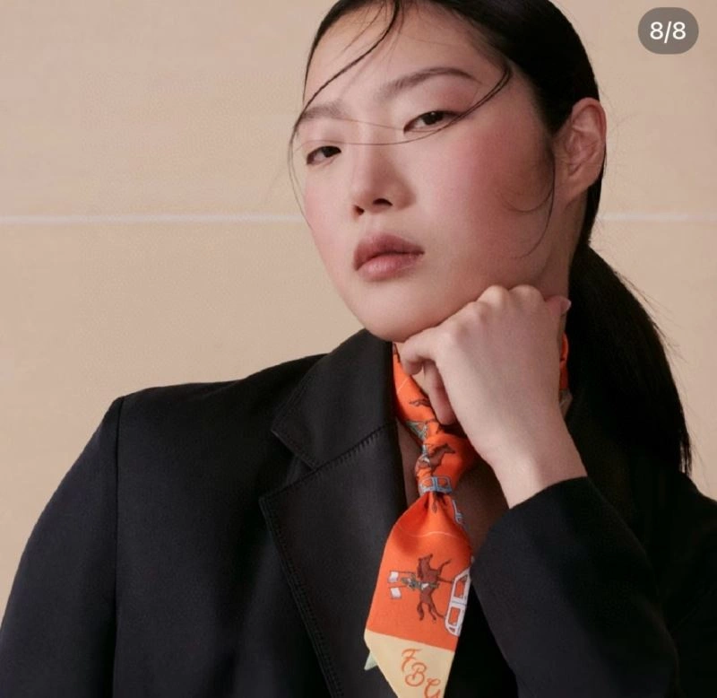 Hermes Silk