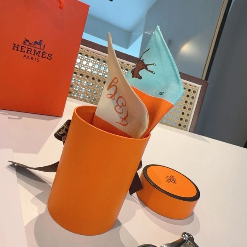 Top match Hermes Silk