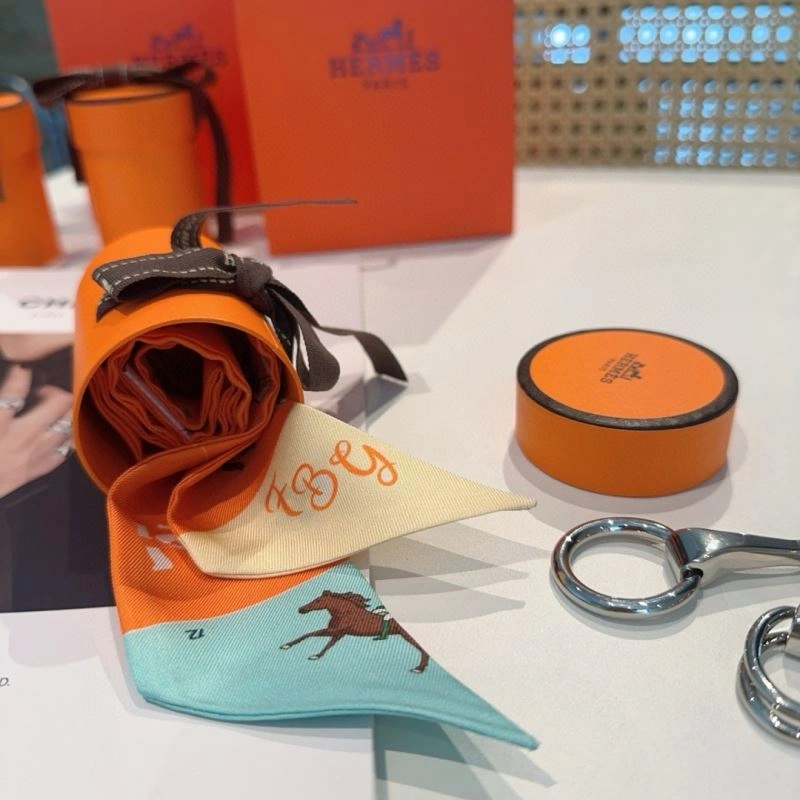 Top match Hermes Silk