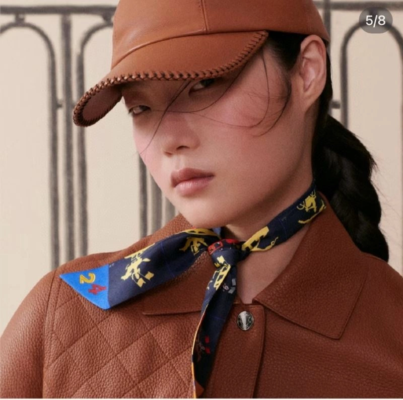 Hermes Silk