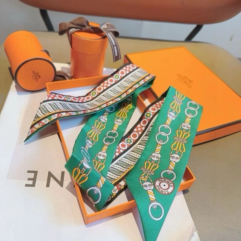 Budget-friendly Hermes Silk