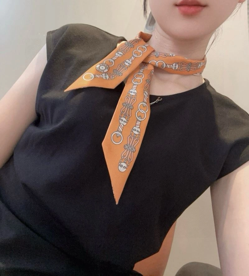 Hermes Silk