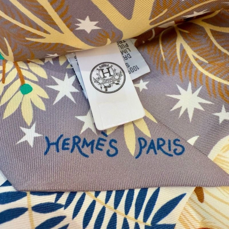 Cut-rate Hermes Silk