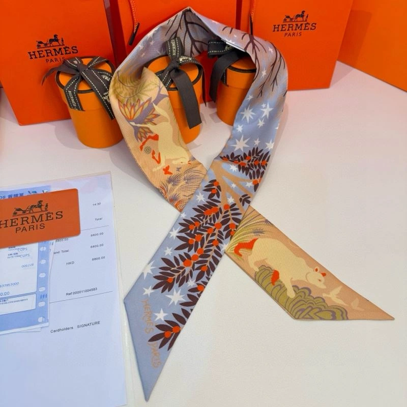Top match Hermes Silk