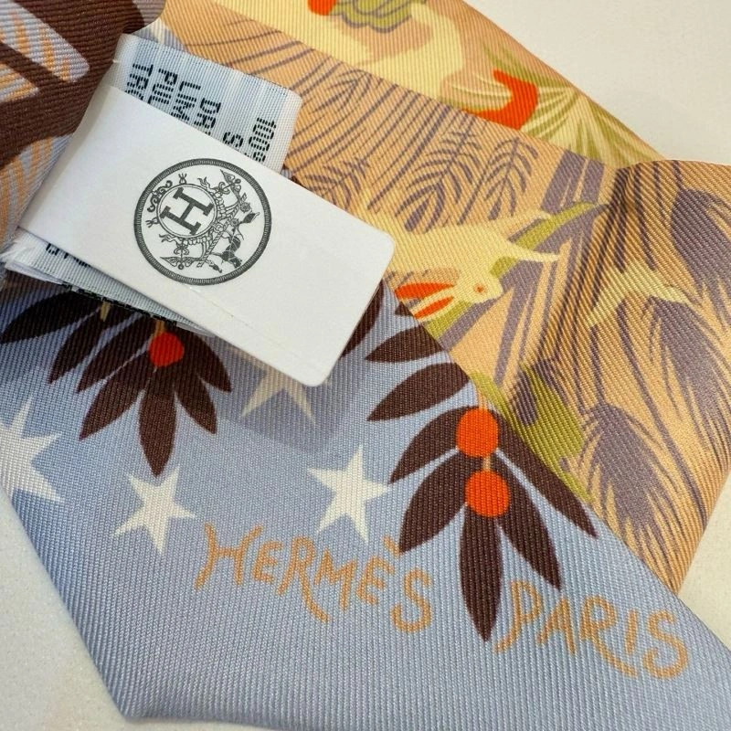 Top match Hermes Silk