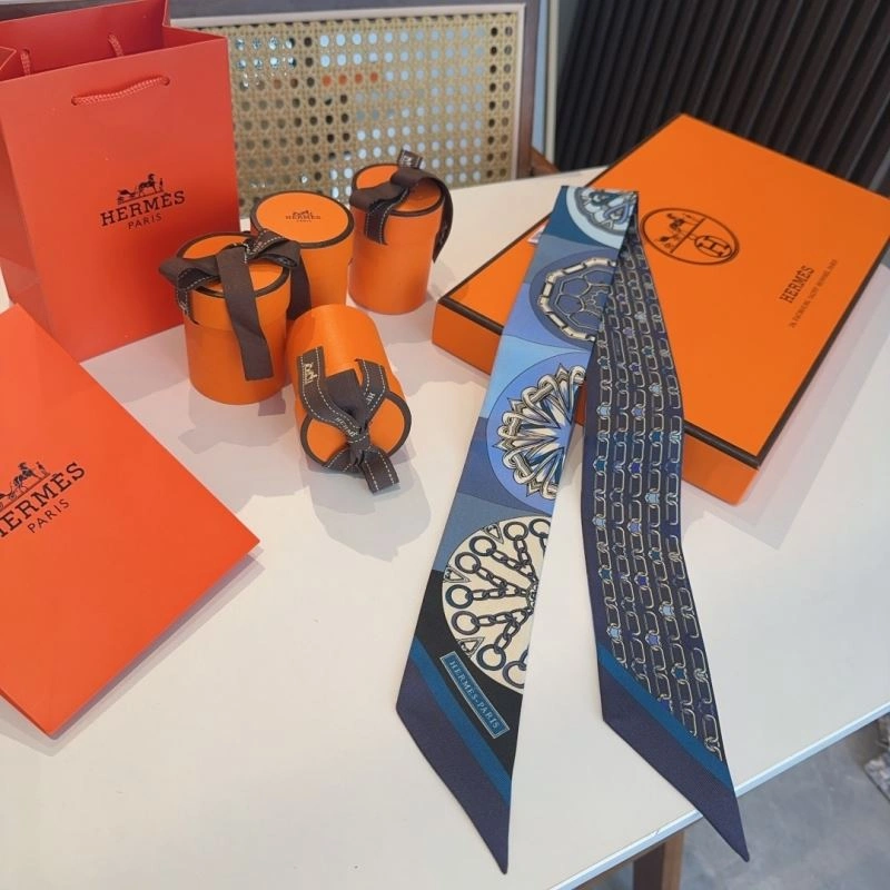 Economical Hermes Silk