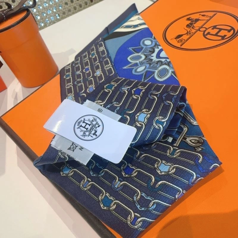 Economical Hermes Silk