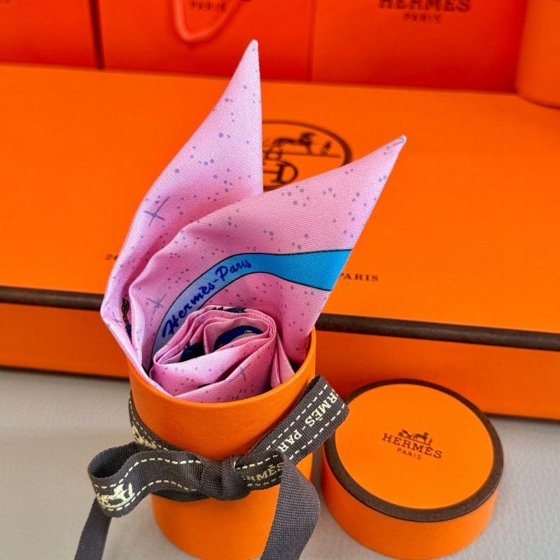 Hermes Silk