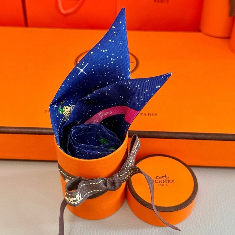 Hermes Silk