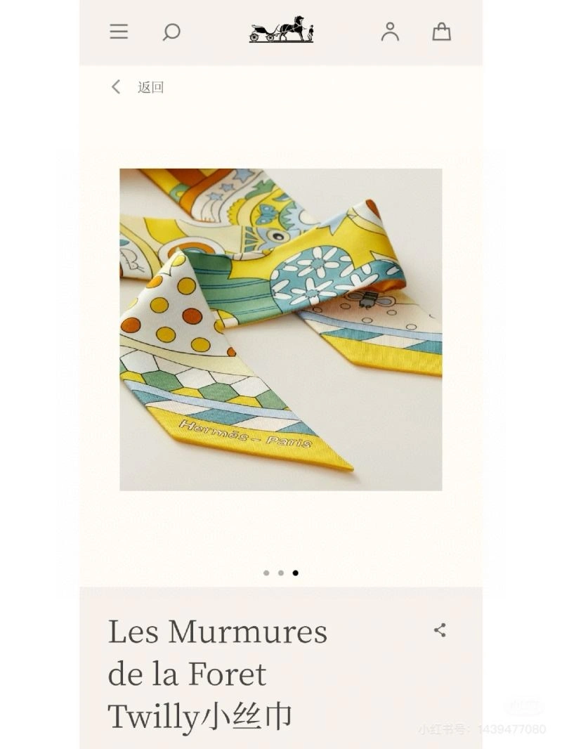 Hermes Silk