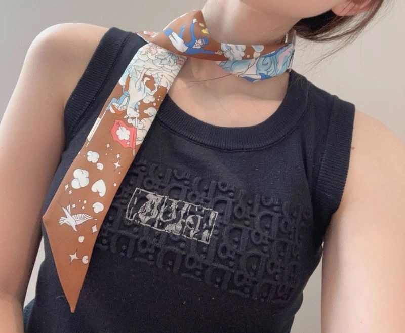 Hermes Silk