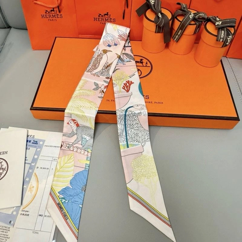 Reasonably priced Hermes Silk
