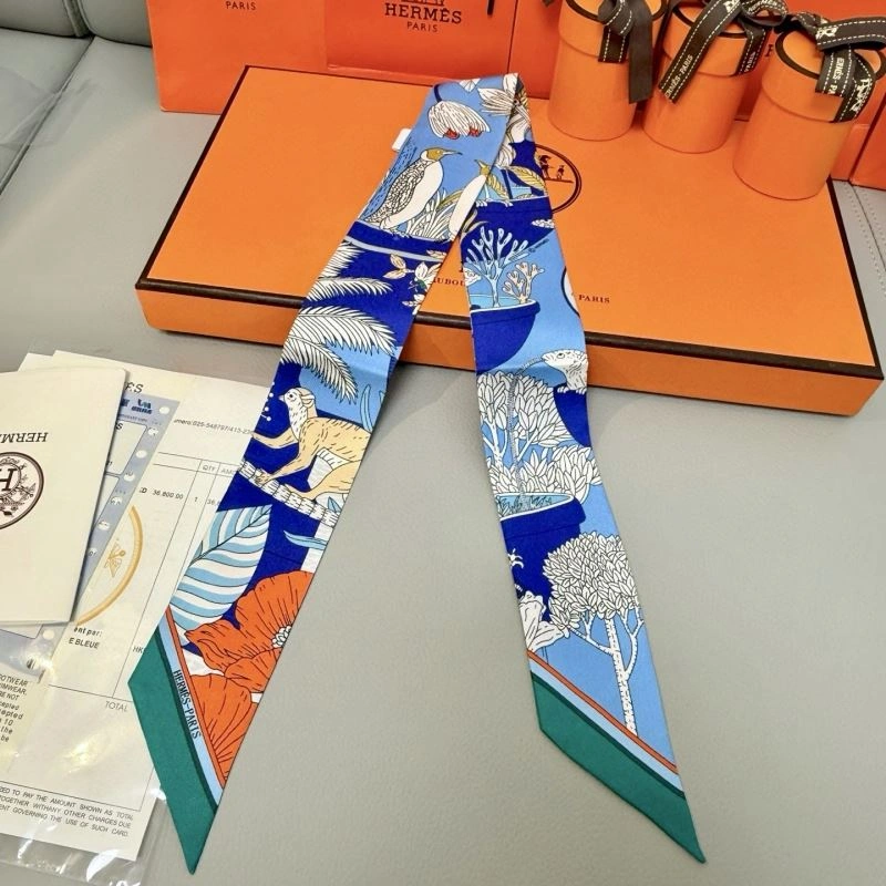 Economical Hermes Silk